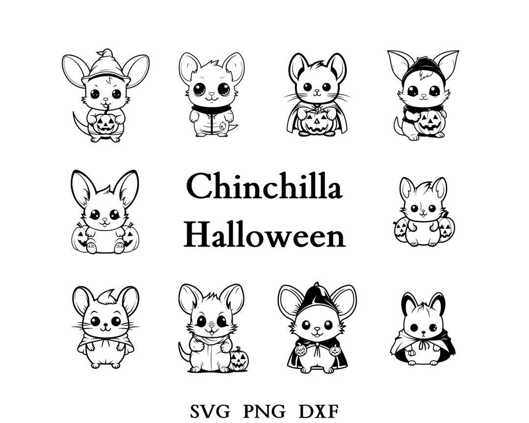 Chinchilla Halloween Bundle , Chinchilla Svg , Halloween Designs - Etsy
