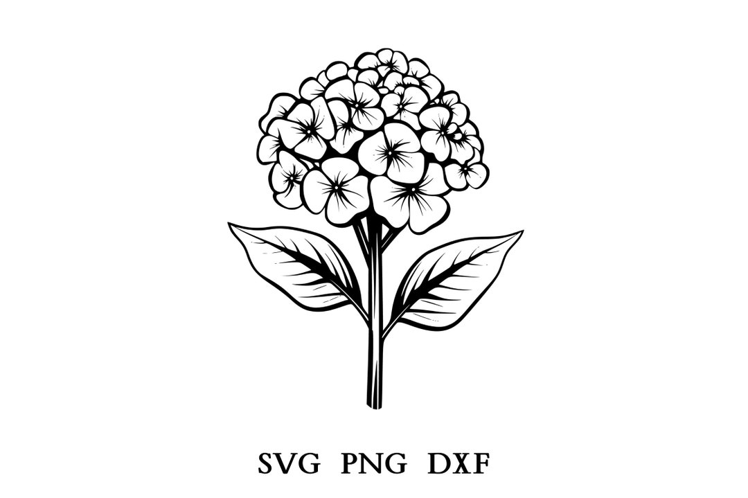 Hydrangea Svg, Hydrangea Png, Hydrangea Clipart, Flower Svg, Flower Png ...