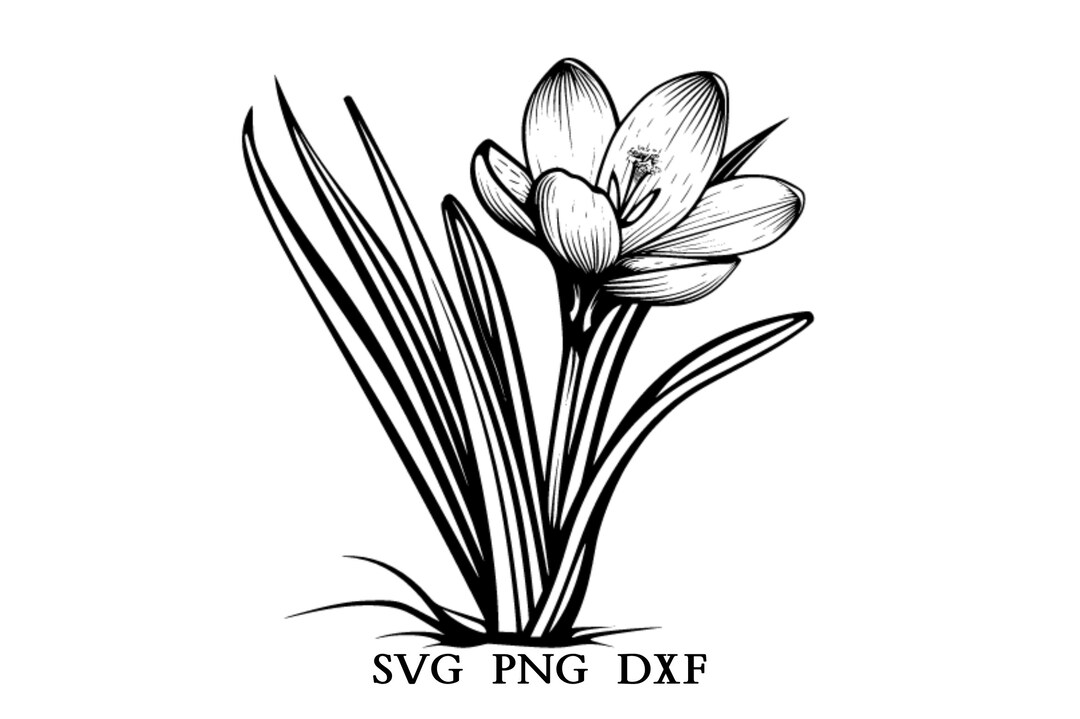 Crocus Svg, Crocus Png, Crocus Clipart, Flower Svg, Flower Png - Etsy