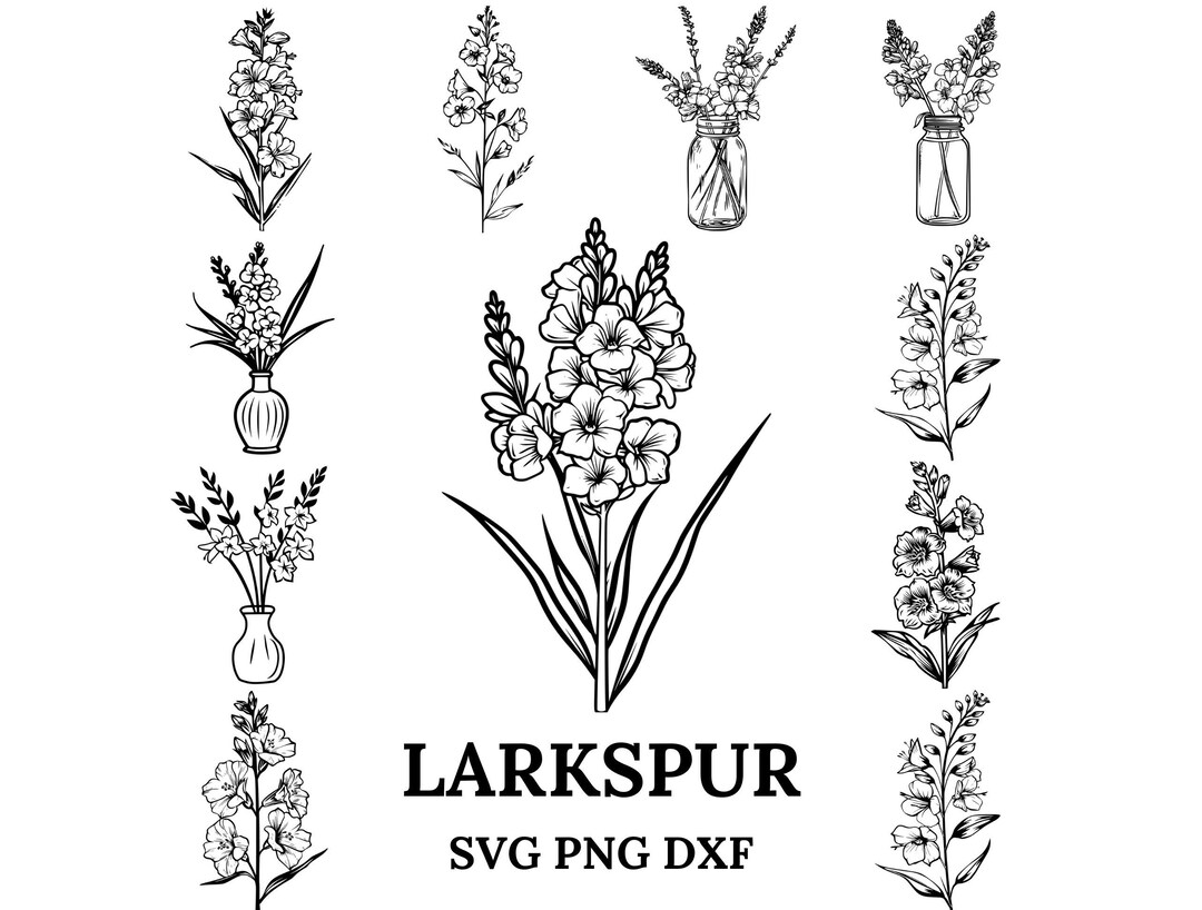 Larkspur Svg,larkspur Png, Larkspur Clipart, Flower Svg, Flower Png - Etsy
