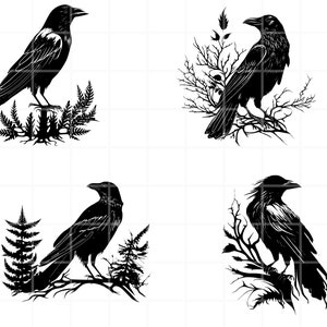 Crow Svg, Crow Bundle, Crow Clipart, Crow Png, Crow Cut Files for ...