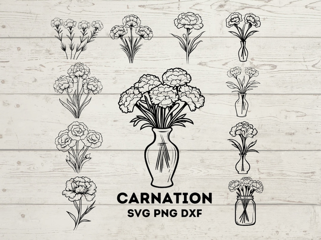 Carnation Svg, Carnation Png, Carnation Clipart, Flower Svg, Flower Png ...