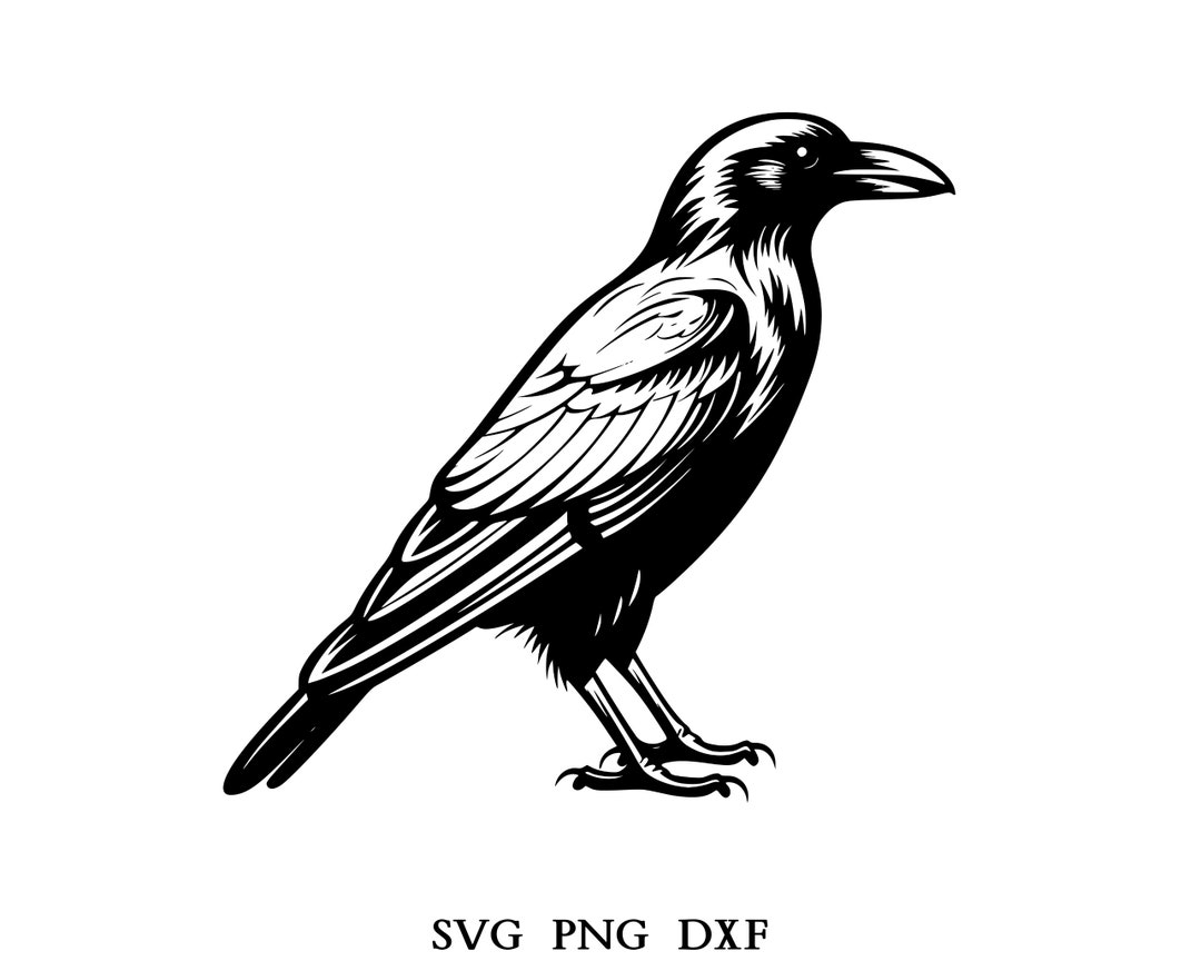 Crow Svg, Crow Clipart, Crow Png, Crow Head, Crow Cut Files for Cricut ...