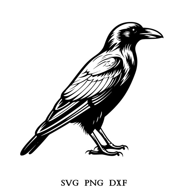 Crow Silhouette - Etsy