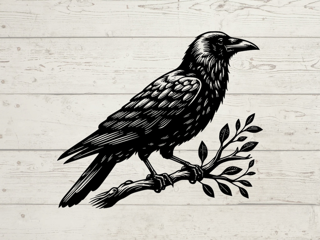 Crow on Branch, Crow Svg, Crow Clipart, Crow Png, Crow Head, Crow Cut ...