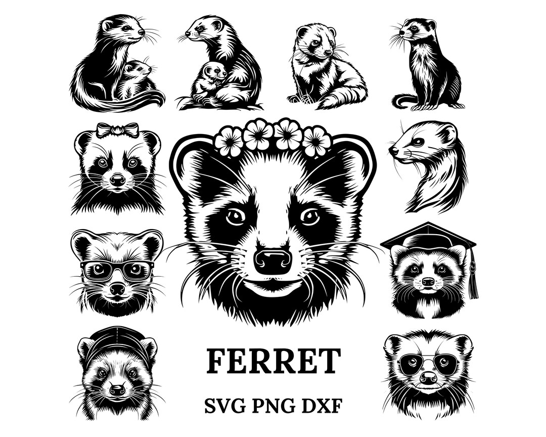Ferret Svg Bundle , Ferret Svg , Ferret Png, Ferret Clipart, Ferret ...