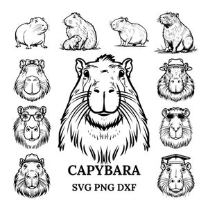 Capybara Svg Bundle , Capybara Svg , Capybara Png, Capybara Clipart ...
