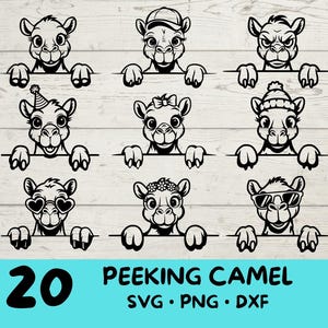 Camel Svg Bundle , Camel Svg , Camel Png, Camel Clipart, Camel Head ...