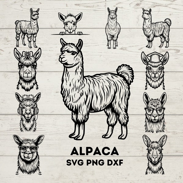 Alpaca Svg - Etsy