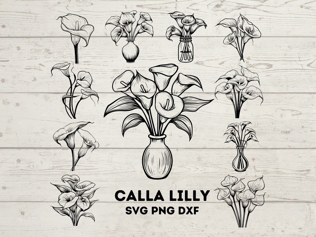 Calla Lily Svg, Calla Lily Png, Calla Lily Clipart, Flower Svg, Flower ...