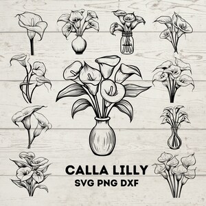 Calla Lily Svg, Calla Lily Png, Calla Lily Clipart, Flower Svg, Flower ...