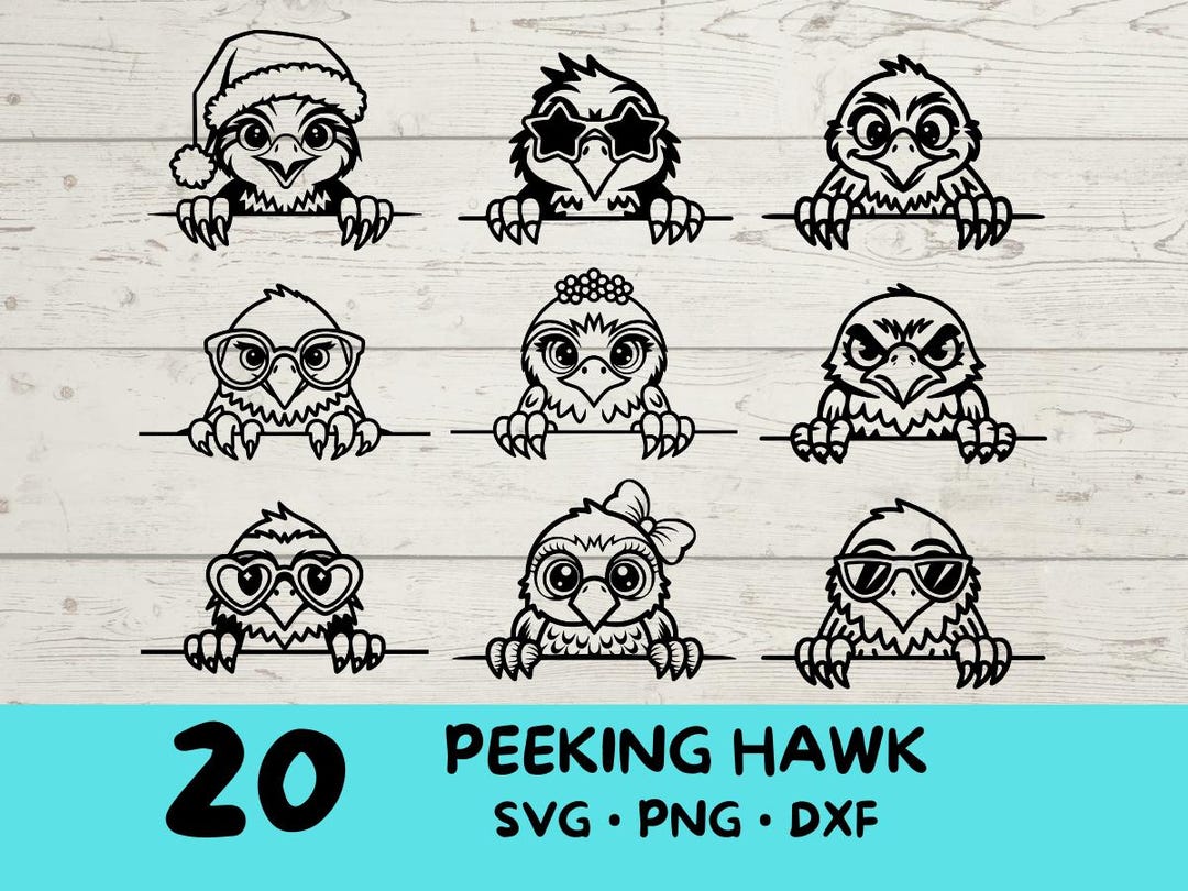 Peeking Hawk, Hawk Svg , Hawk Svg Bundle, Cute Hawk With | Sunglasses ...