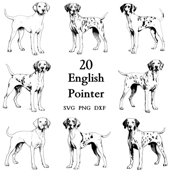 English Pointer Art - Etsy