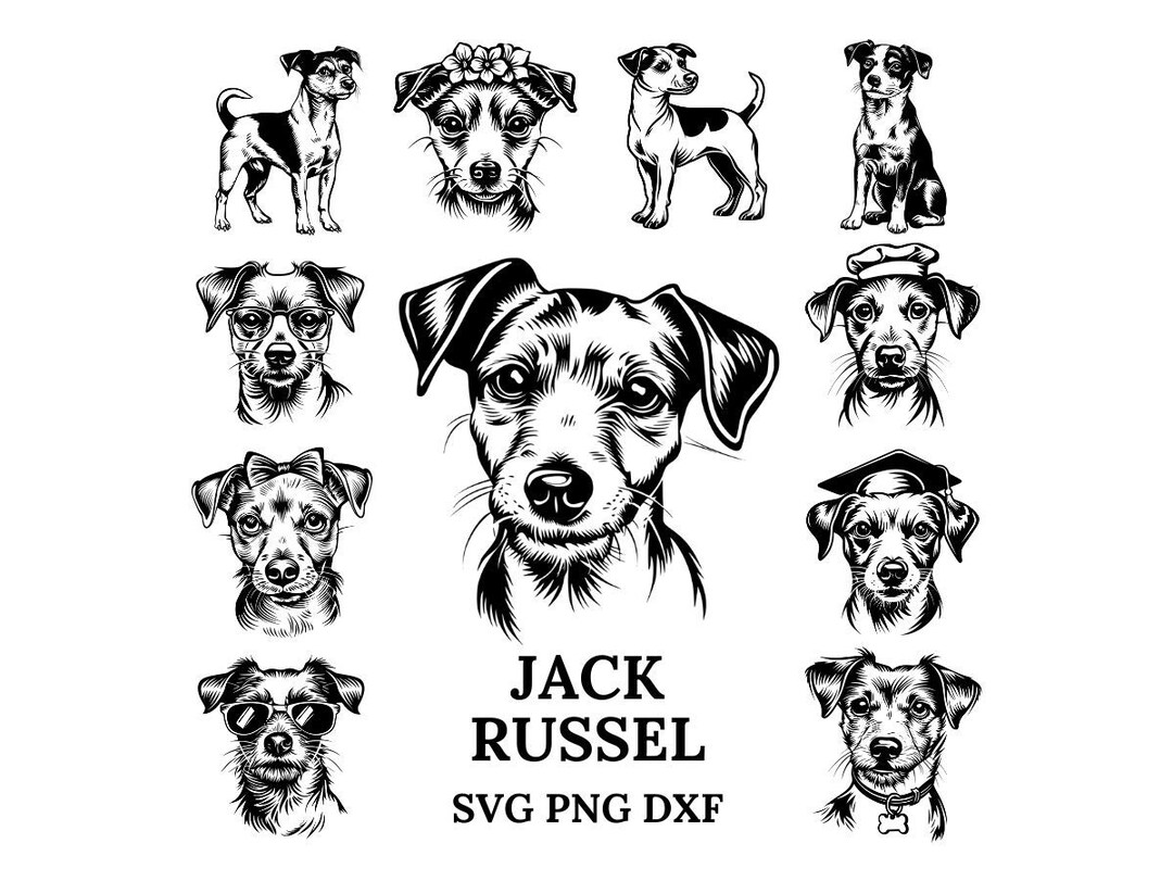 Jack Russel Svg , Jack Russel Png, Jack Russel Clipart, Jack Russel ...