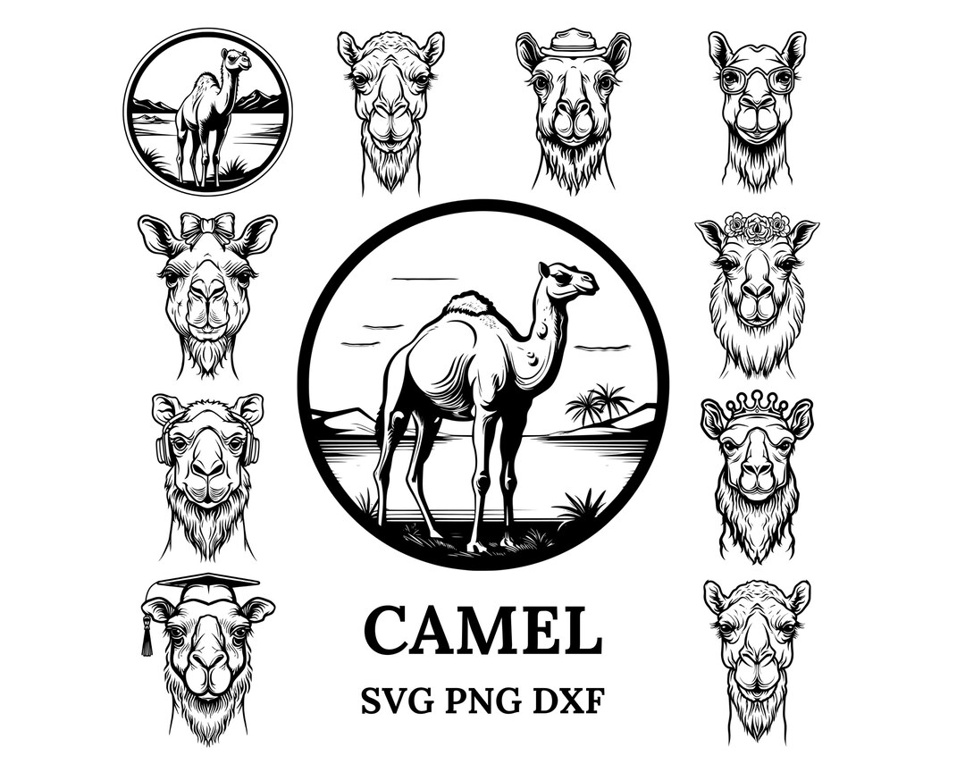 Camel Svg Bundle , Camel Svg , Camel Png, Camel Clipart, Camel Head ...