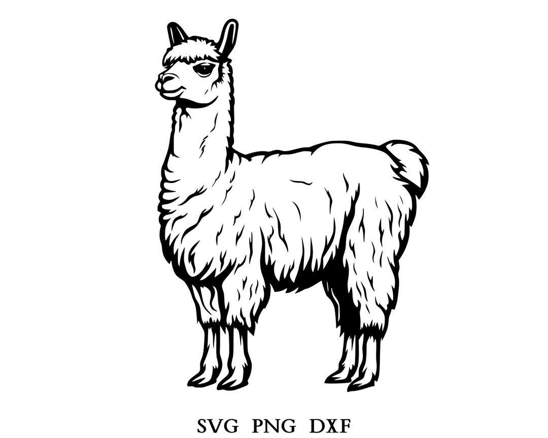 Alpaca Svg, Alpaca Clipart, Alpaca Png, Cabeza de Alpaca, Archivos de ...