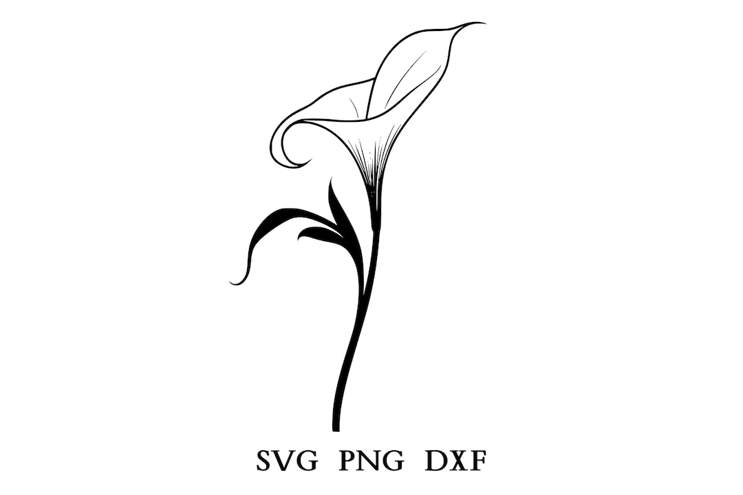 Calla Lily Svg, Calla Lily Png, Calla Lily Clipart, Flower Svg, Flower ...