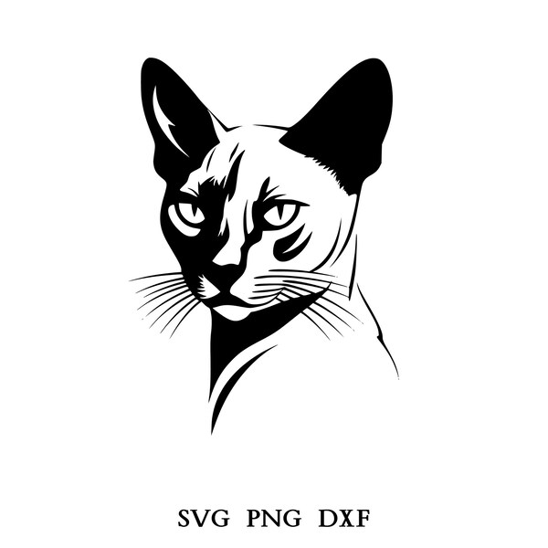 Siamese Cat Svg - Etsy