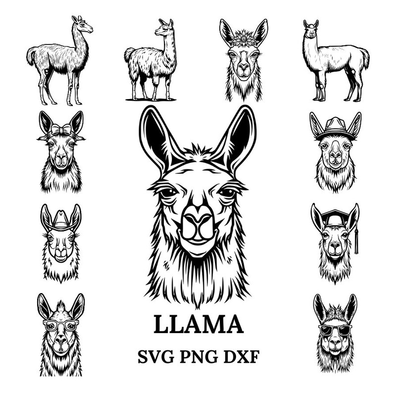 Llama Svg - Etsy
