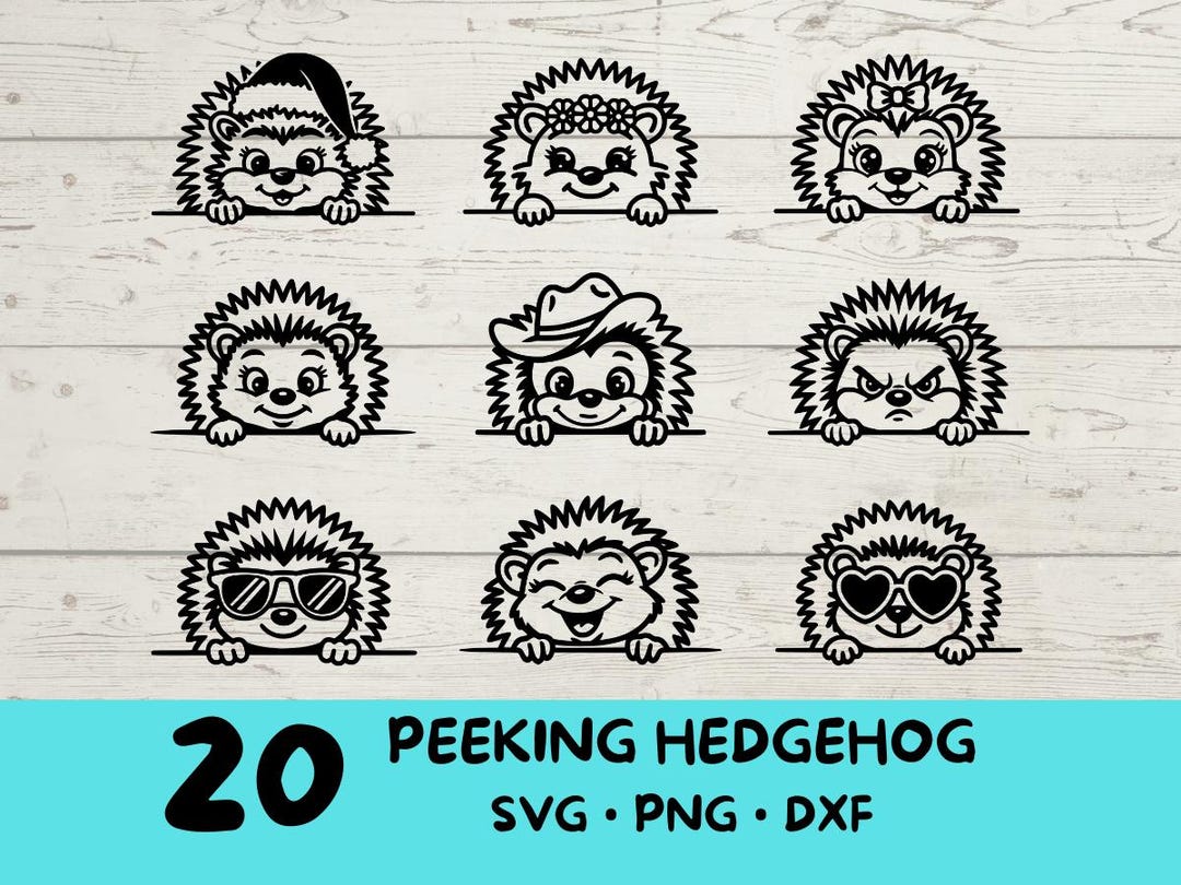 Hedgehog Svg, Hedgehog Bundle, Hedgehog Clipart, Hedgehog Png, Hedgehog ...