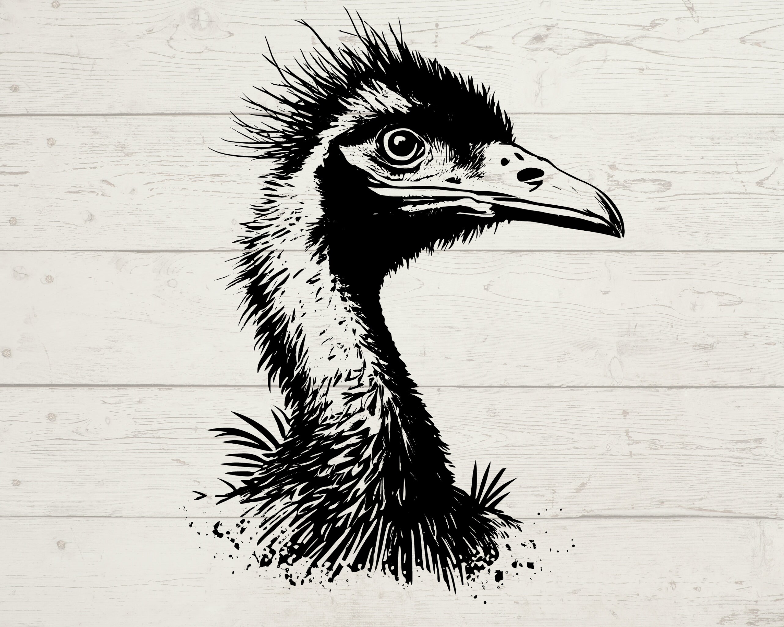 Emu Svg Emu Clipart Emu Png Emu Head Emu Cut Files for - Etsy Australia