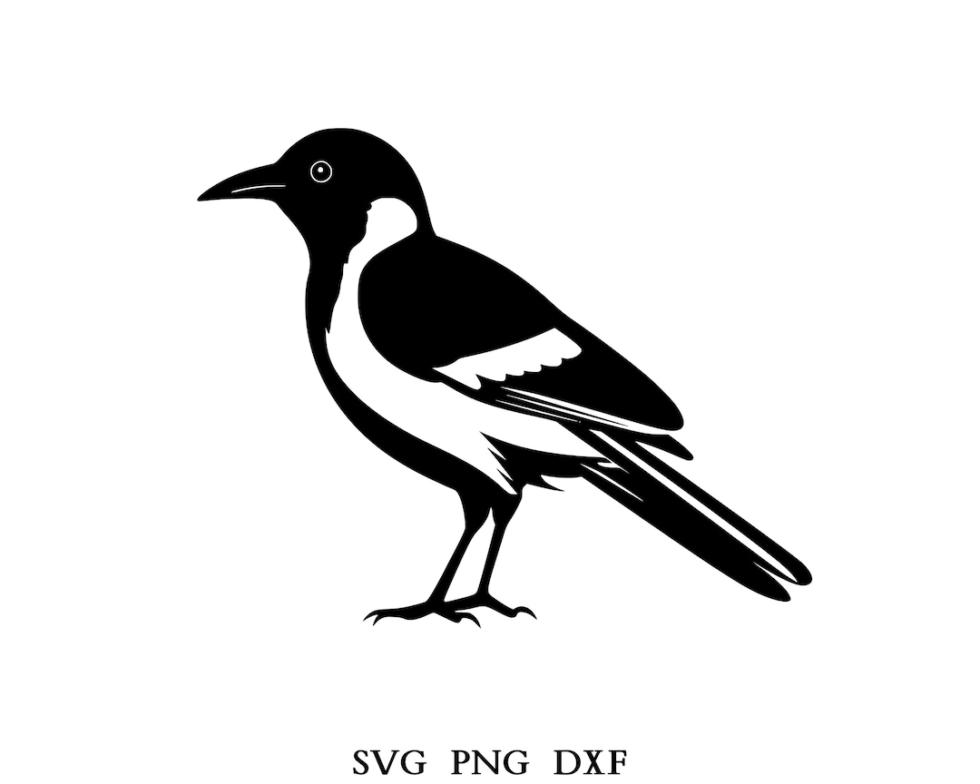 Magpie Svg, Magpie Clipart, Magpie Png, Magpie Head, Magpie Cut Files ...