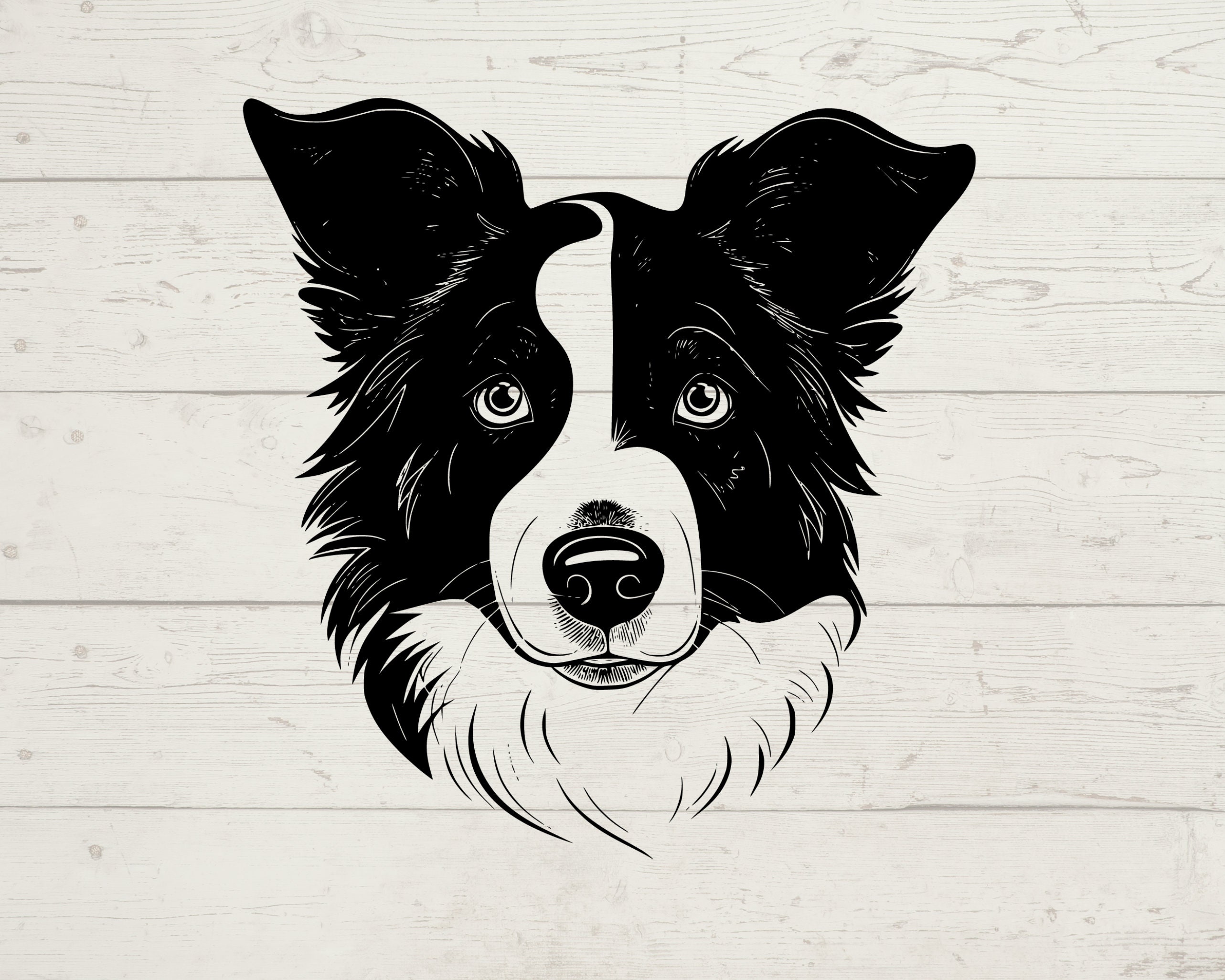 Border Collie Svg Border Collie Clipart Border Collie Png - Etsy