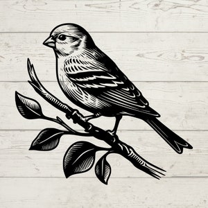 Atticus Finch - Etsy