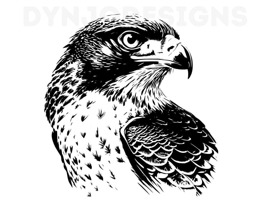 Halcón Svg Halcón Clipart Halcón Png Cabeza de Halcón - Etsy España