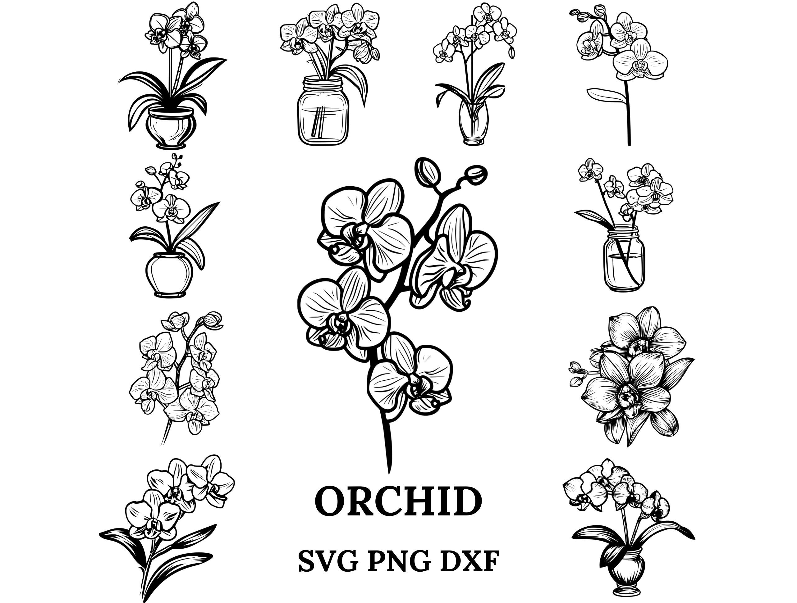 Orchid Svg, Orchid Png, Orchid Clipart, Flower Svg, Flower Png - Etsy