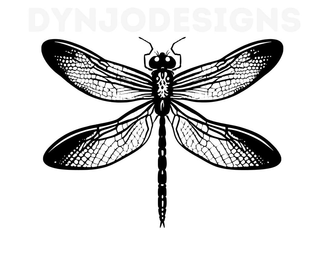 Dragonfly Svg, Dragonfly Clipart, Dragonfly Png, Dragonfly Head ...