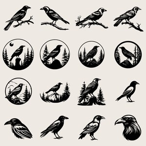 Crow Svg, Crow Bundle, Crow Clipart, Crow Png, Crow Cut Files for ...