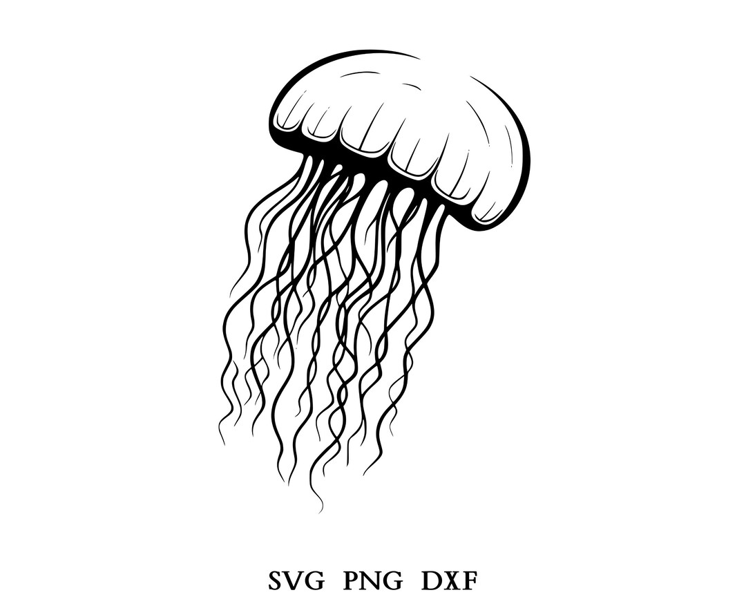 Qualle SVG, Qualle Clipart, Qualle Png, Qualle, Qualle Cut Files für ...