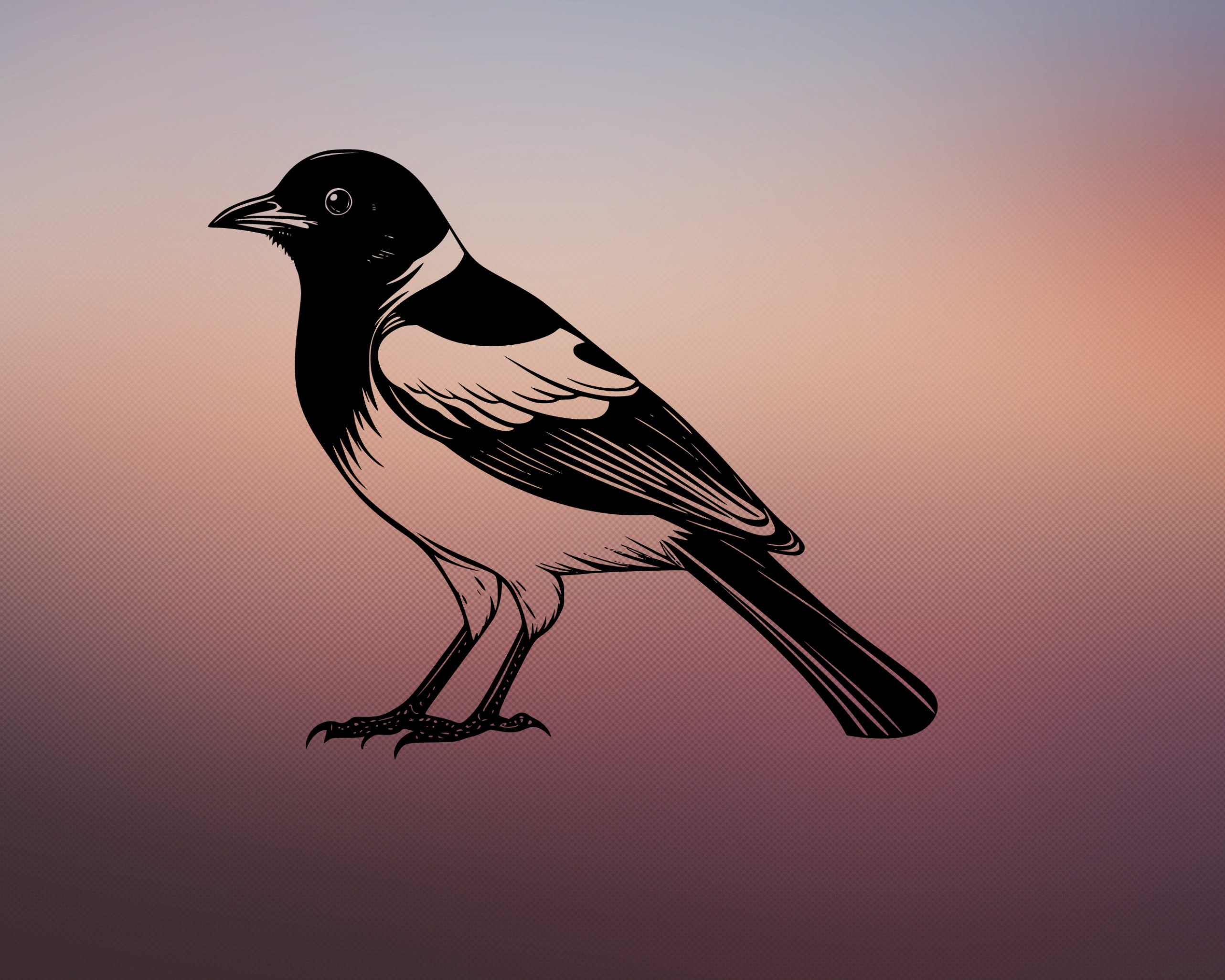 Magpie Svg Magpie Clipart Magpie Png Magpie Head Magpie - Etsy UK