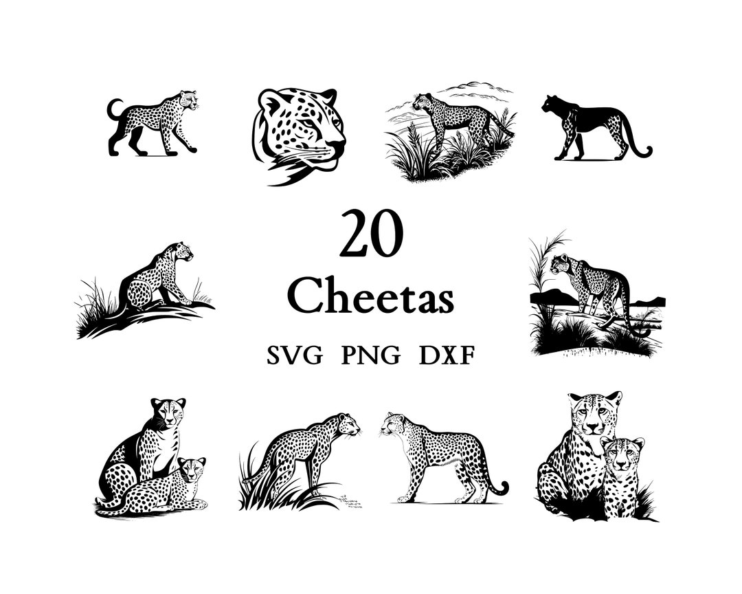 Cheetah Svg Bundle , Perfect Cut Files for Cricut And Laser Engraving ...