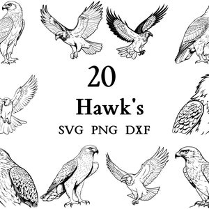 Hawk Svg Bundle Hawk Svg Cut Files for Cricut and Laser - Etsy