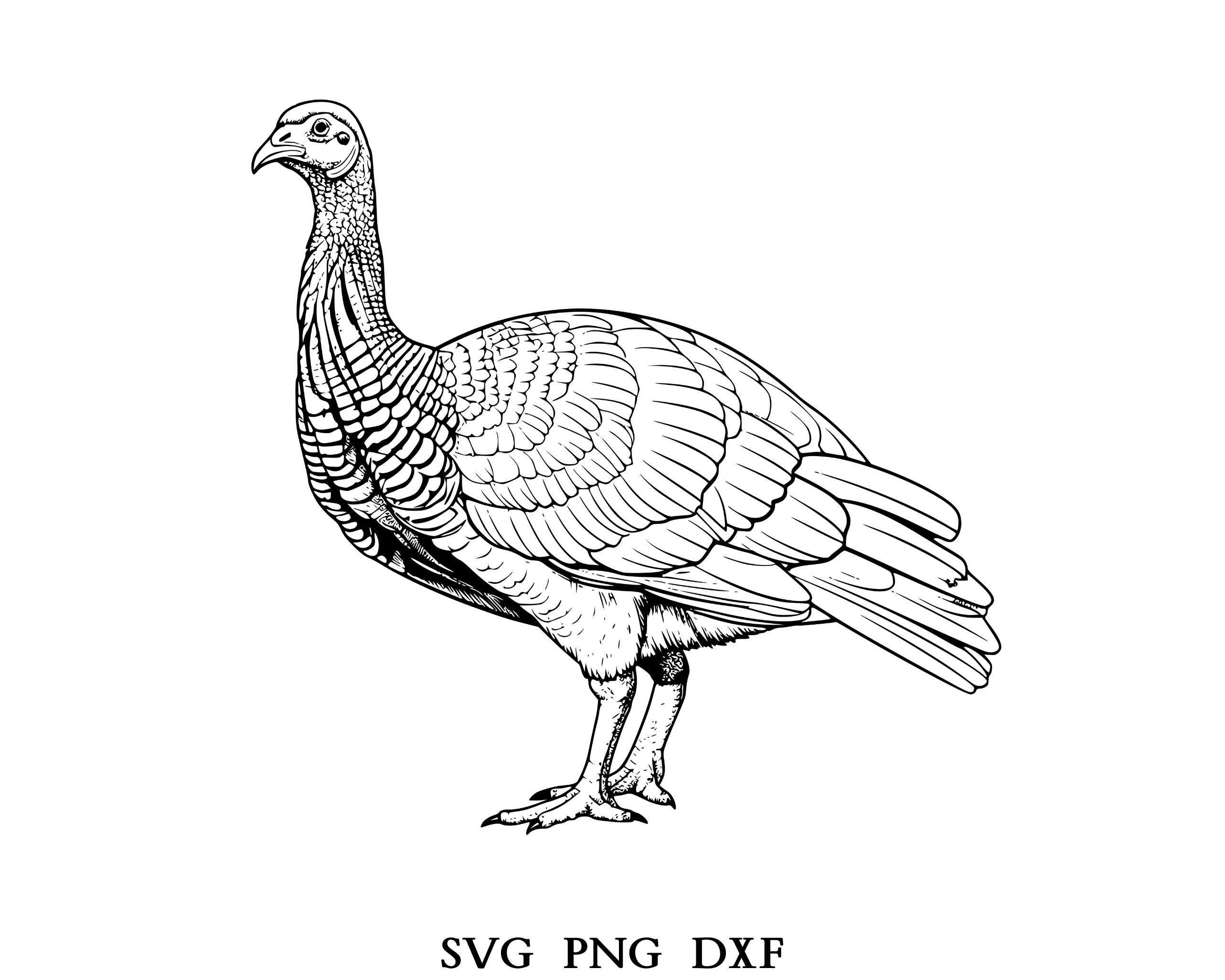 Corps De Dinde Noir Et Blanc Clipart