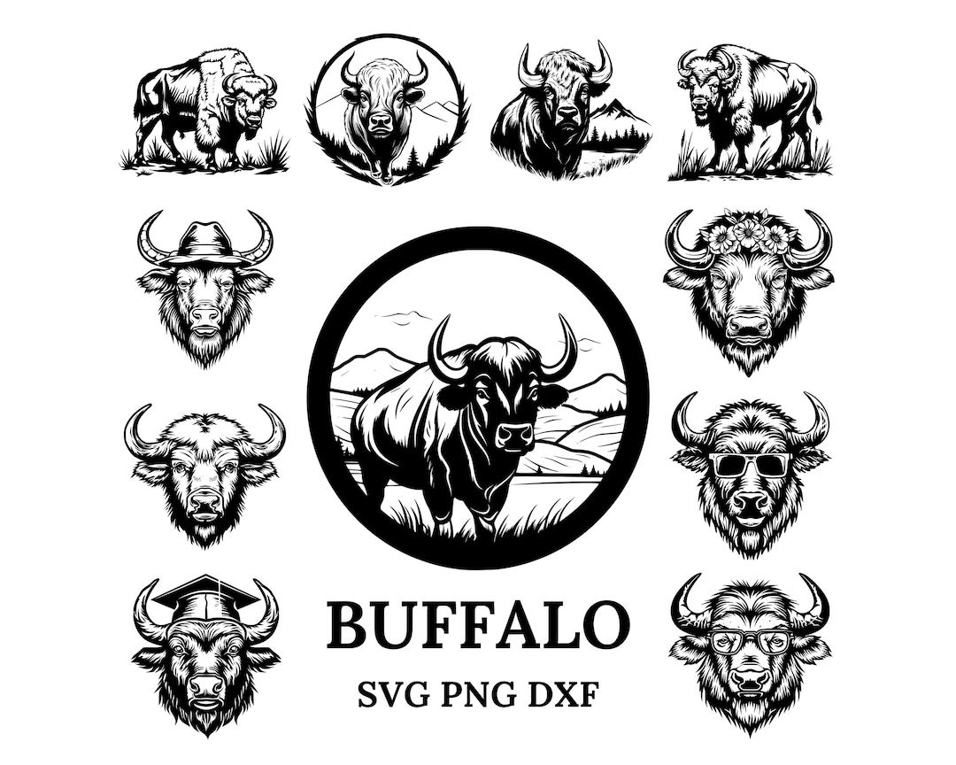 Buffalo Svg Bundle , Buffalo Svg , Buffalo Png, Buffalo Clipart ...