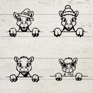 Camel Svg Bundle , Camel Svg , Camel Png, Camel Clipart, Camel Head ...