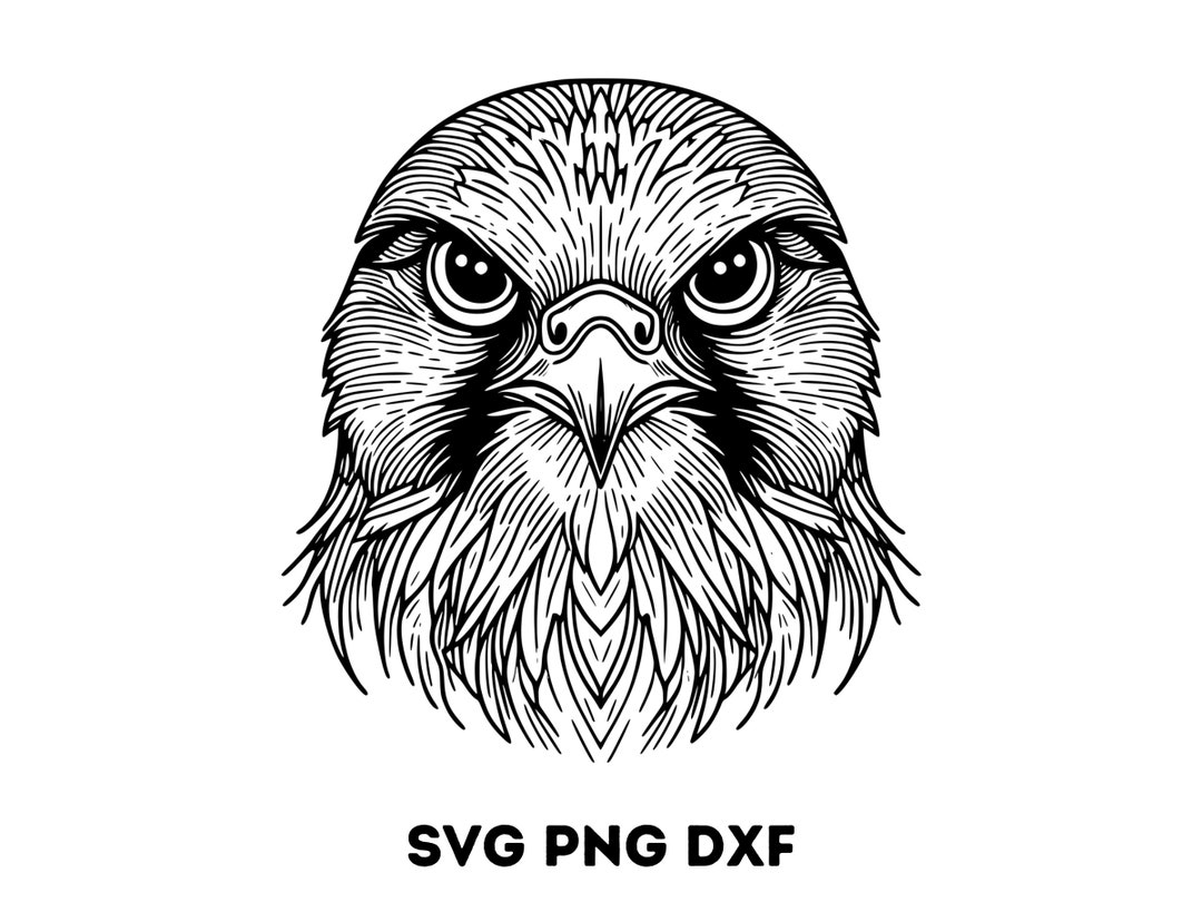 Falcon Svg, Falcon Clipart, Falcon Png, Falcon Head, Falcon Cut Files ...