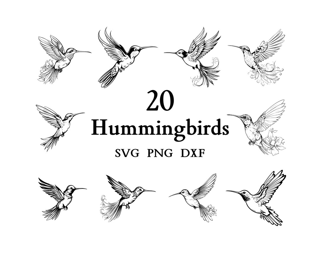 Kolibri-Svg-Bundle Kolibri-Svg-Dateien geschnittene Dateien - Etsy.de