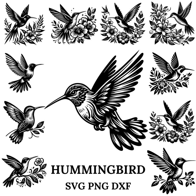 Hummingbird Svg - Etsy