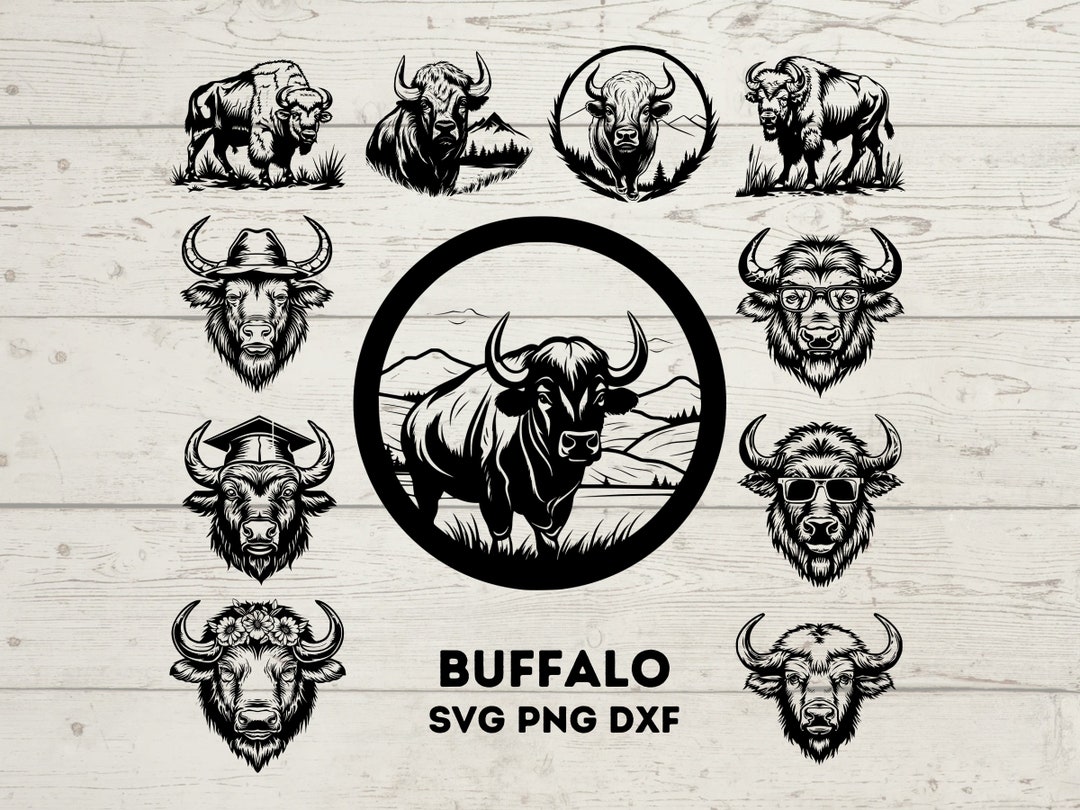 Buffalo Svg Bundle , Buffalo Svg , Buffalo Png, Buffalo Clipart ...