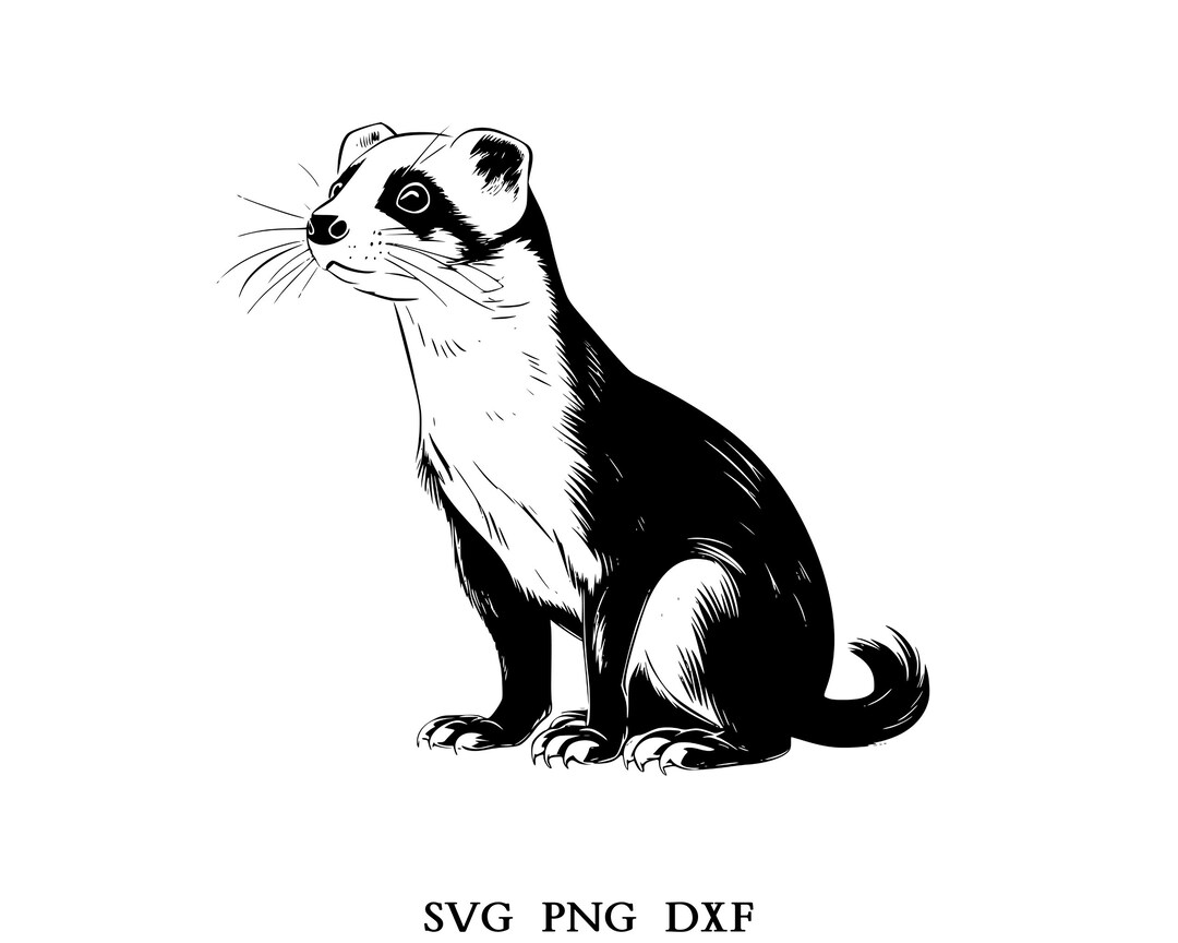 Ferret Svg, Ferret Png, Ferret Clipart, Animal Design - Etsy