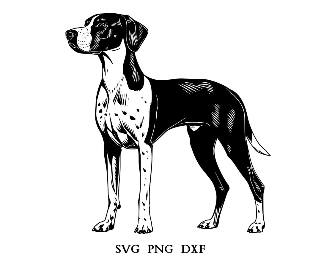 English Pointer Svg, English Pointer Clipart, English Pointer Png ...