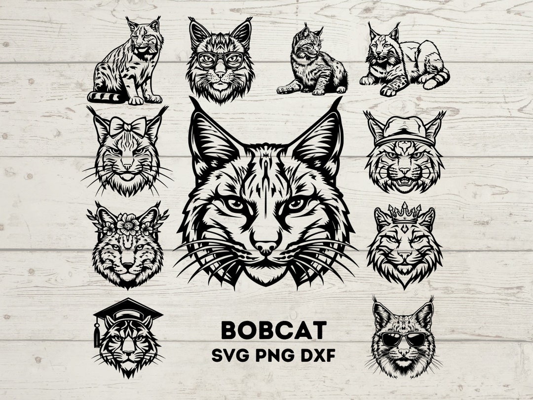 Bobcat svg Bundle, Bobcat svg, Bobcat Png, Bobcat Clipart, Bobcat Kopf ...
