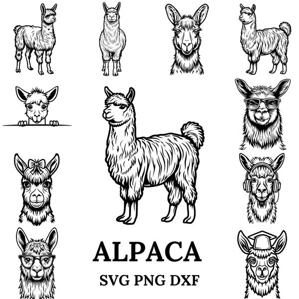 Alpaca Svg - Etsy