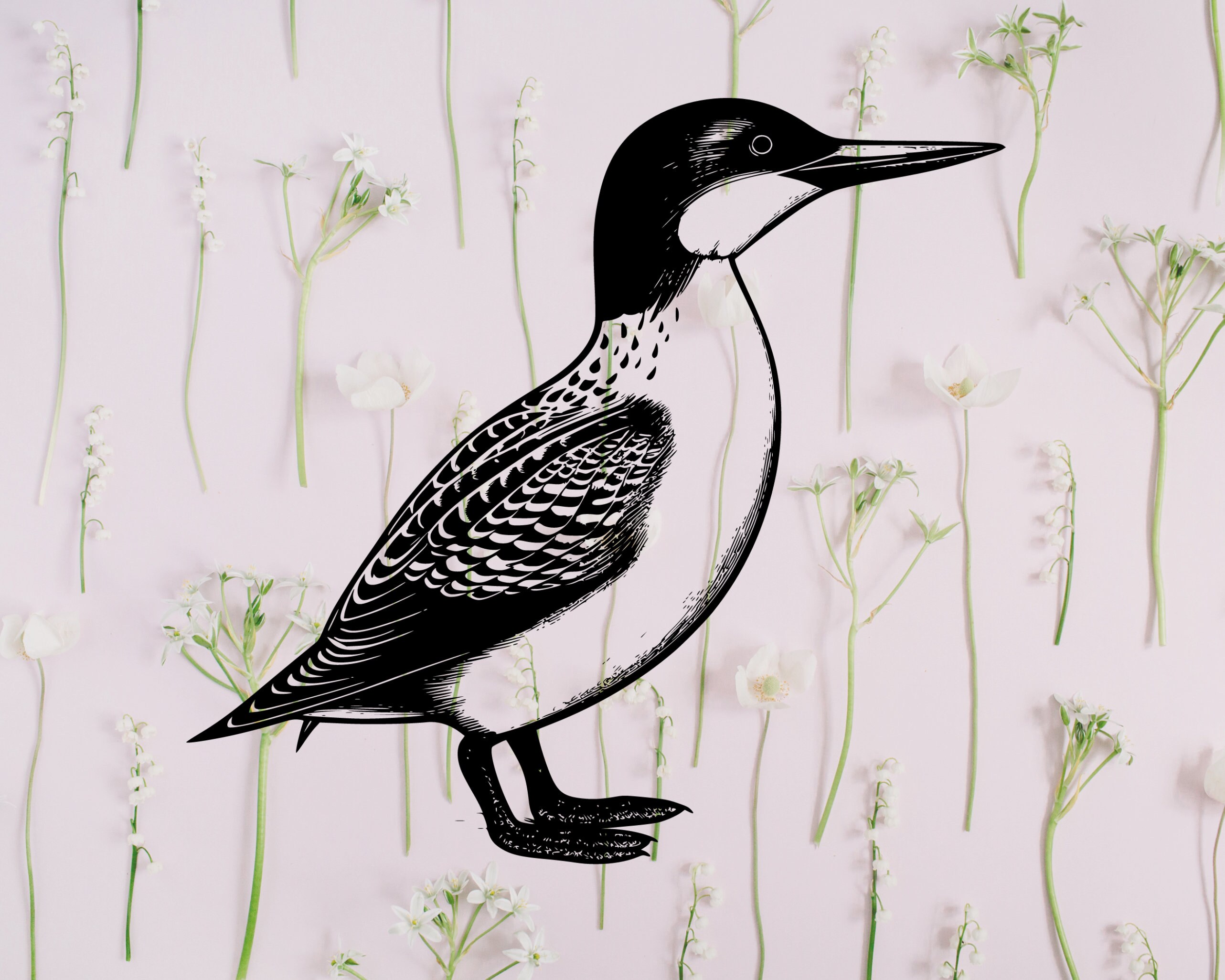 Loon Svg Loon Clipart Loon Png Loon Head Loon Cut Files - Etsy Australia