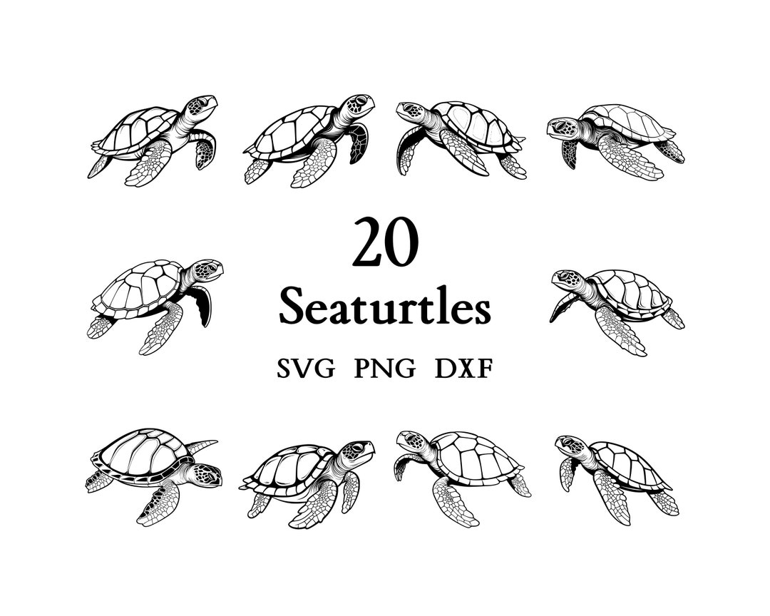 Sea Turtle Svg Bundle , Sea Turtle Svg , Cut Files for Cricut and Laser ...
