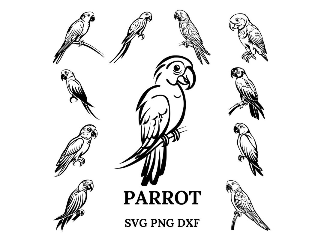 Parrot Svg Bundle , Parrot Svg , Parrot Png,parrot Clipart, Parrot Head ...